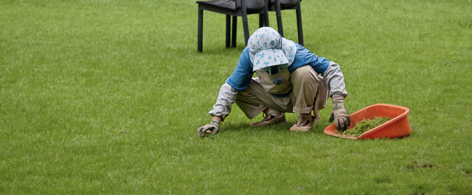 5 Ways That You Can Be a Greener Person - 25Magazine